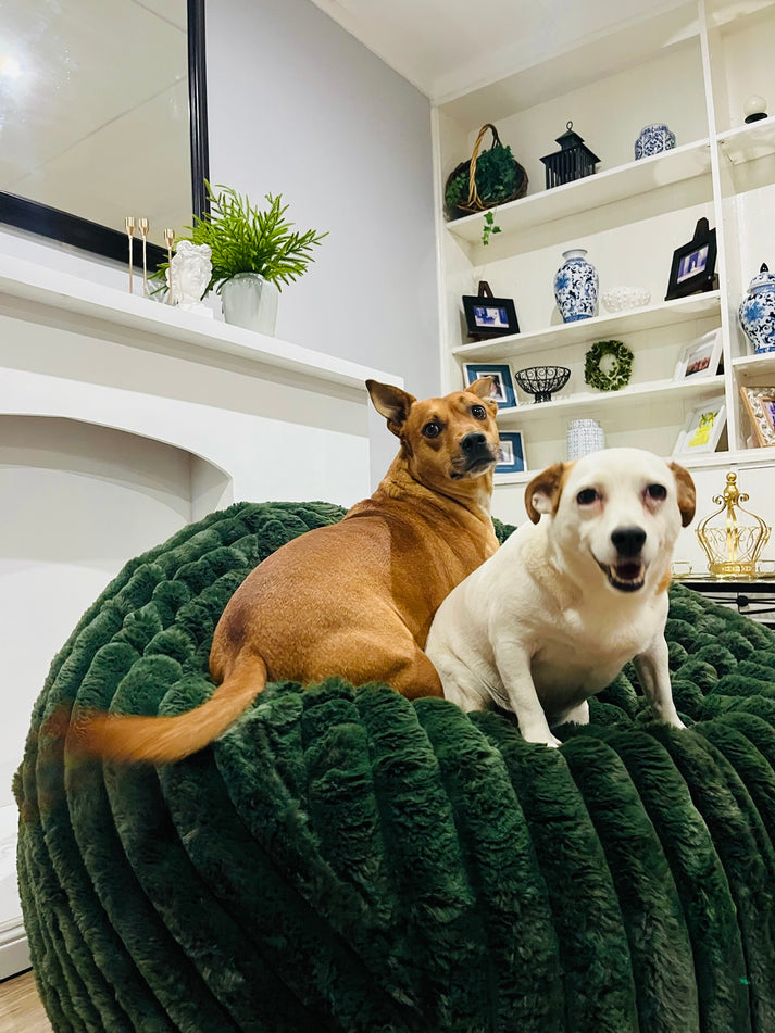 Luxury Corduroy Beanbags South Africa | Posh Pod – Panda Beanbags ...